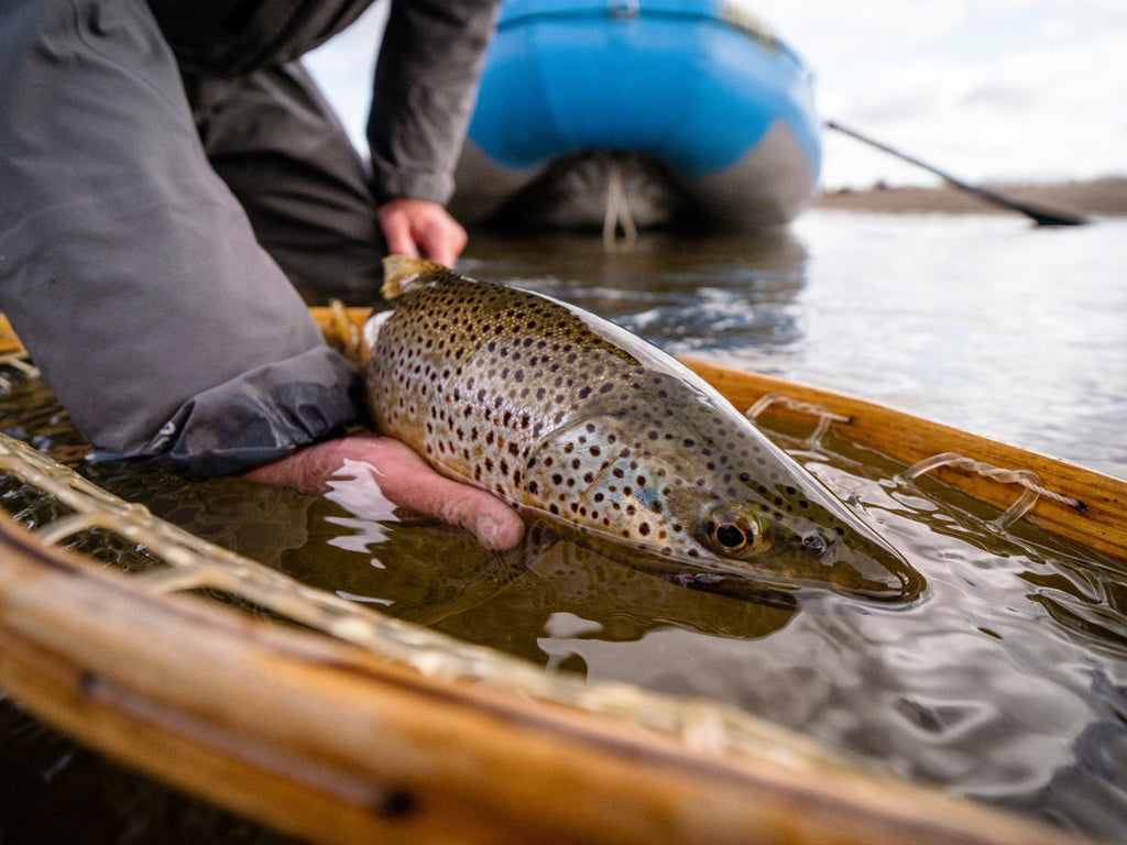 Tips For Fishing Hoppers & Our Top 5 Hopper Fly Patterns