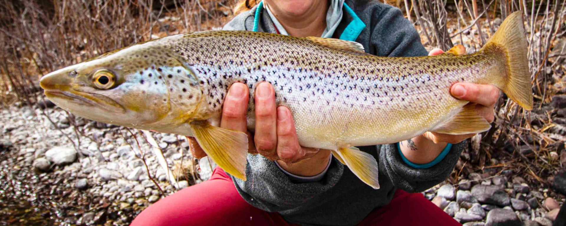 Top 5 Skwala Stonefly Fly Patterns – Montana Skwala Hatch