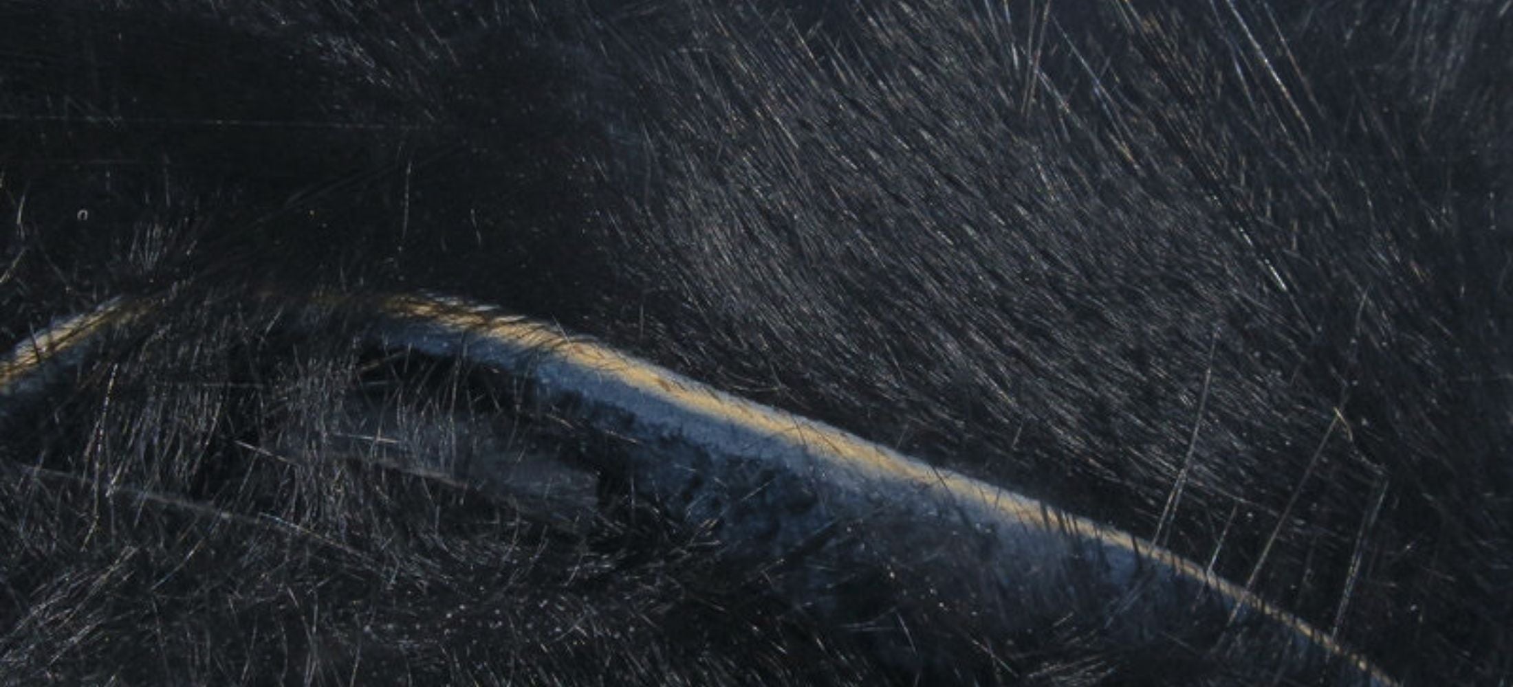 Fur & Hair